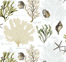 Купить обои Jaima Brown, коллекция Charleston Home: Цена, фото ...